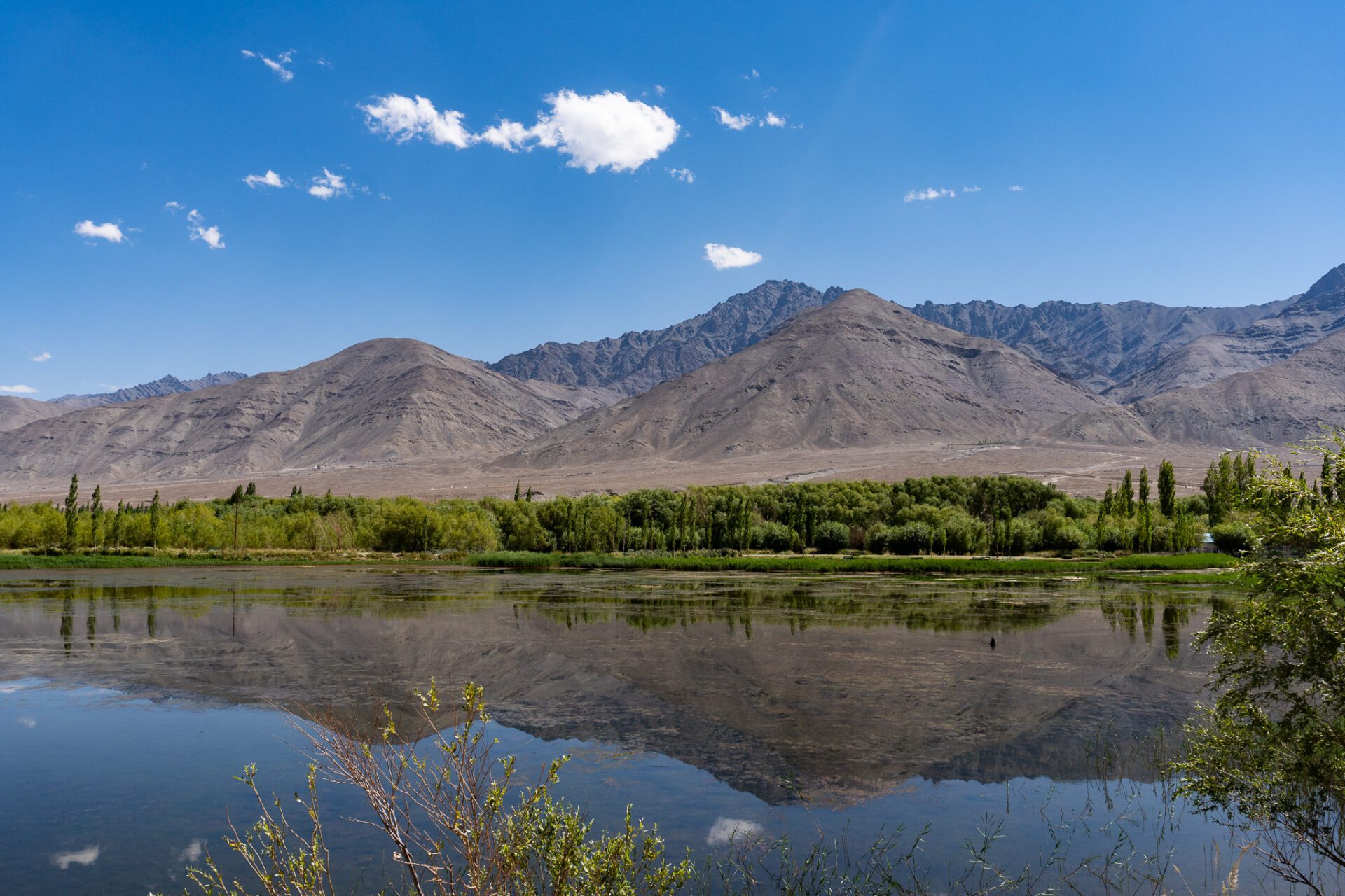 Leh Ladakh im Himalaya – Spiritueller Indien Geheimtipp